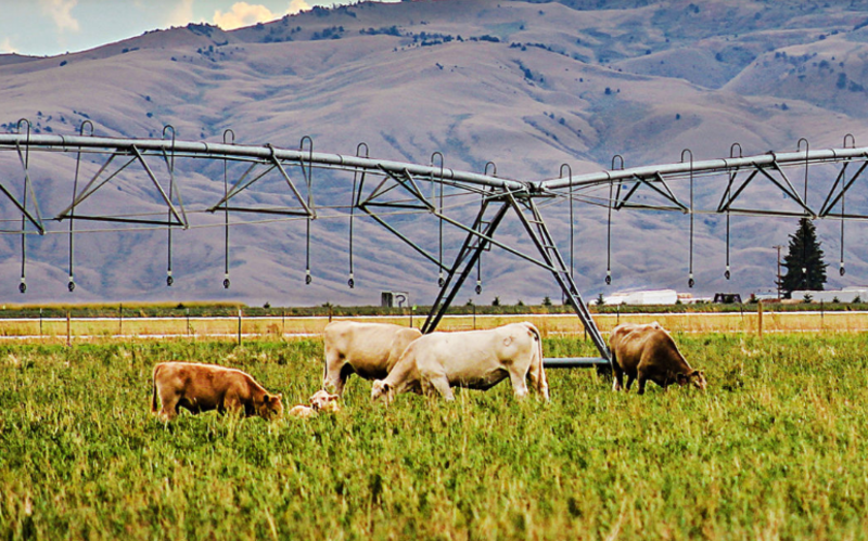 Agriculture Tours | Explore Farming | Cody Yellowstone